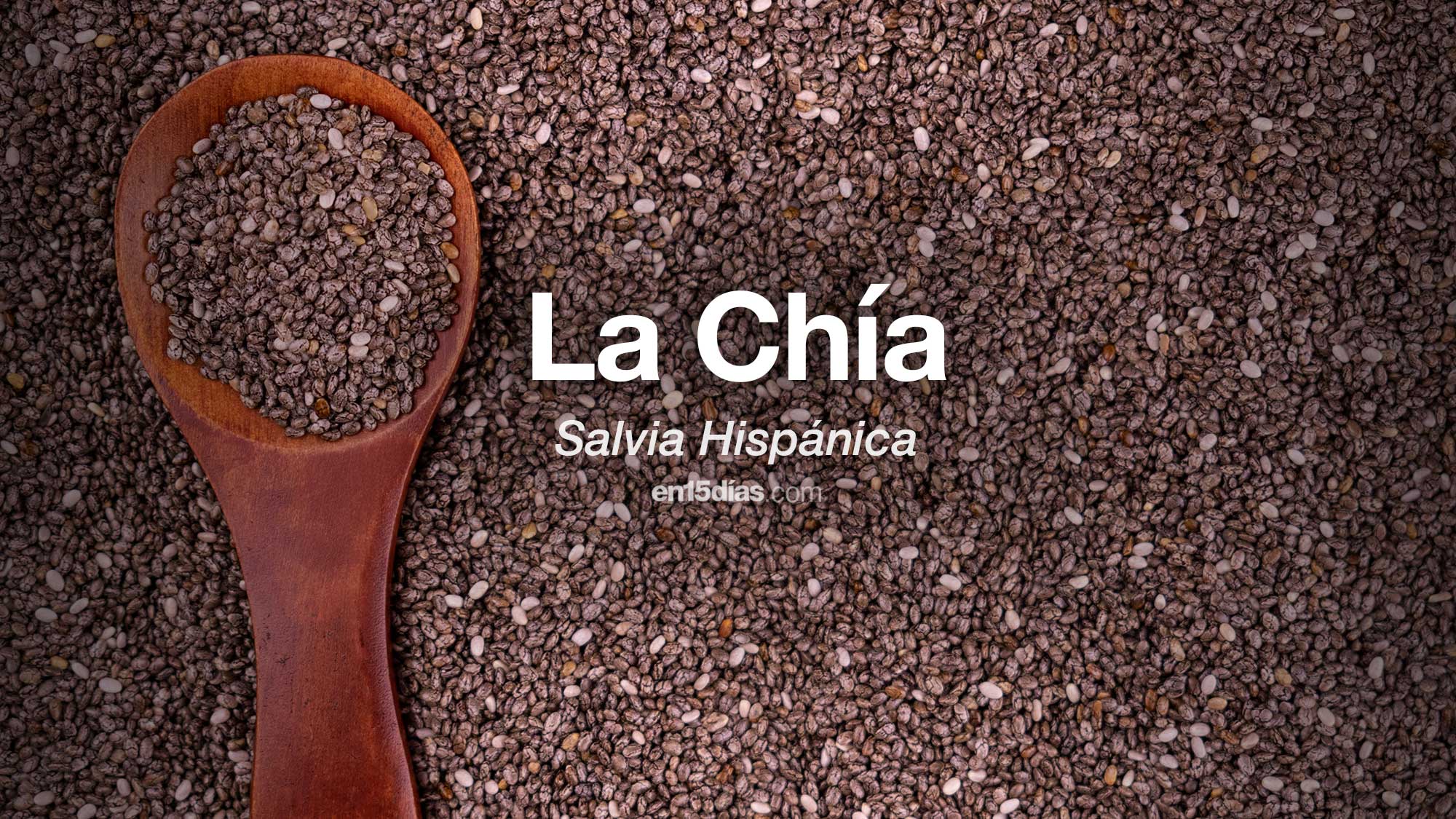 Las semillas de chía, superalimento del futuro