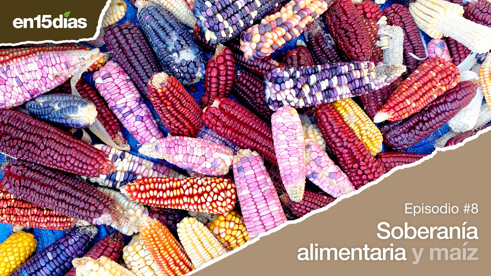 Episodio #8: Soberanía alimentaria y maíz