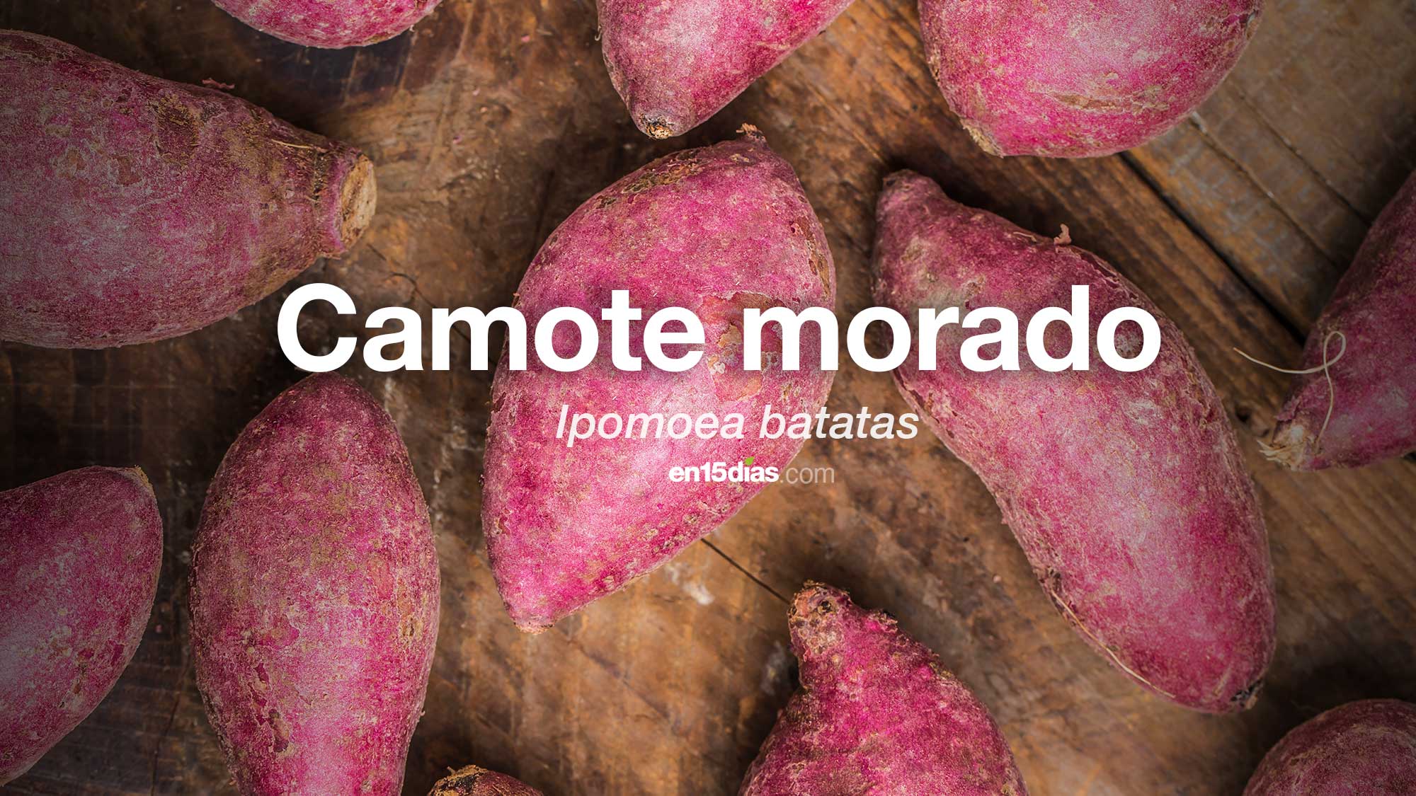 El Camote, dulce tubérculo