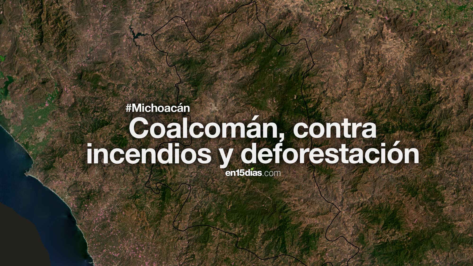 En Coalcomán, 9 mil hectáreas afectadas de bosque por incendios